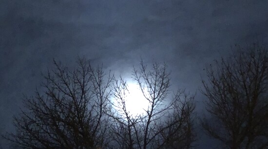 Supermoon by Susan Klassen · 365 Project