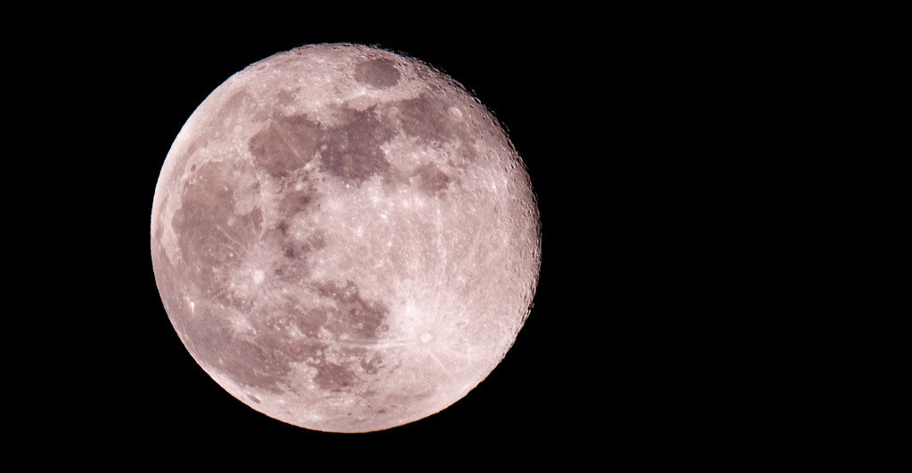 Tonight's Moon Shot! by Rick · 365 Project