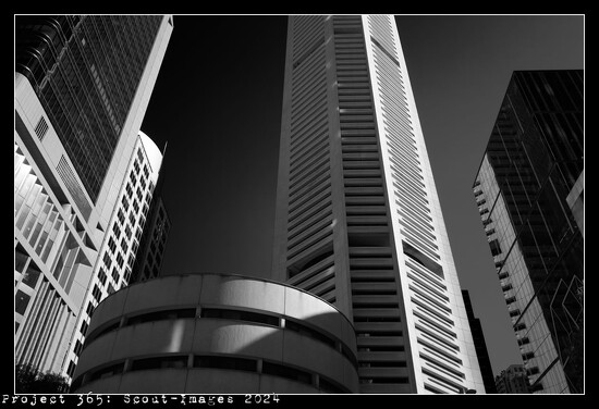 11212024 by Cameron K. Fong · 365 Project