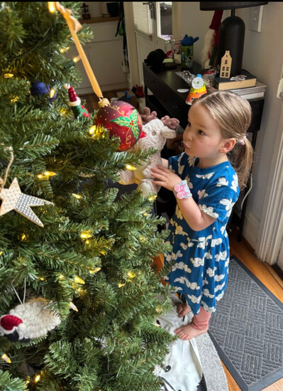 Showing Rudolph all the decorations by Sarah Bremner · 365 Project