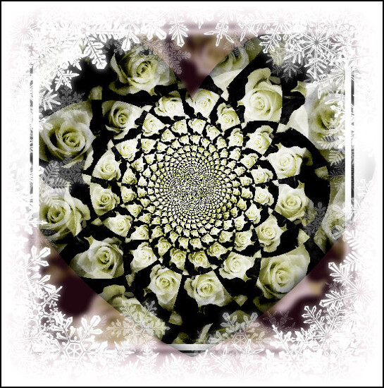 Hypnotic roses. by Beryl Lloyd · 365 Project