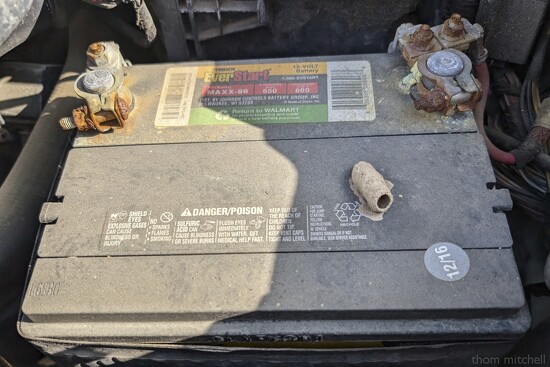 “Life finds a way” by Thom Mitchell · 365 Project