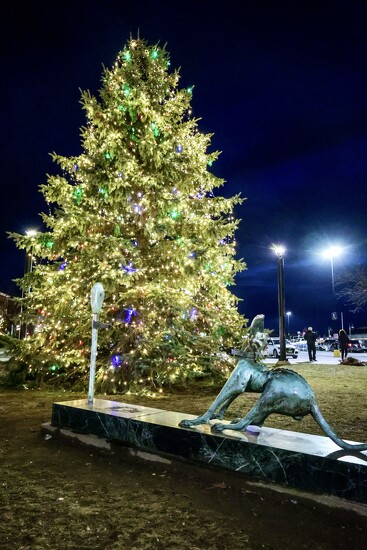 Christmas in Rutland by Corinne C · 365 Project