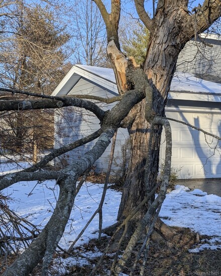 More storm damage by Thom Mitchell · 365 Project