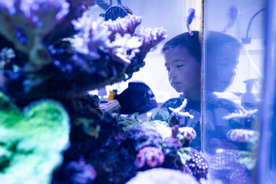 Fish Tank Wonder-5470 by Kelly Ann Gray · 365 Project