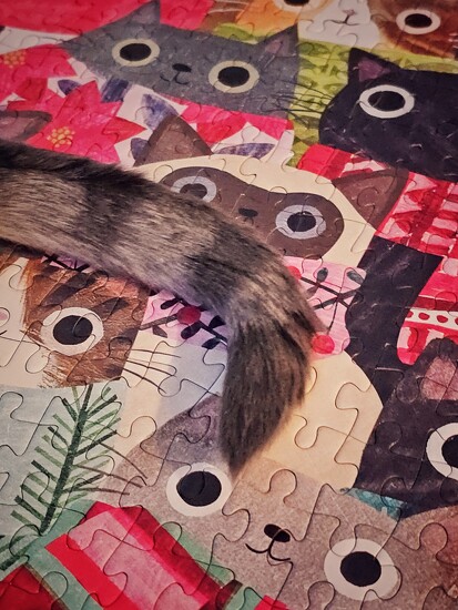 Tail of the puzzle by eDorre · 365 Project