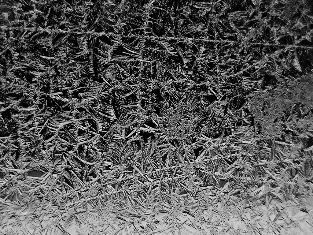 Dark frost by eDorre · 365 Project