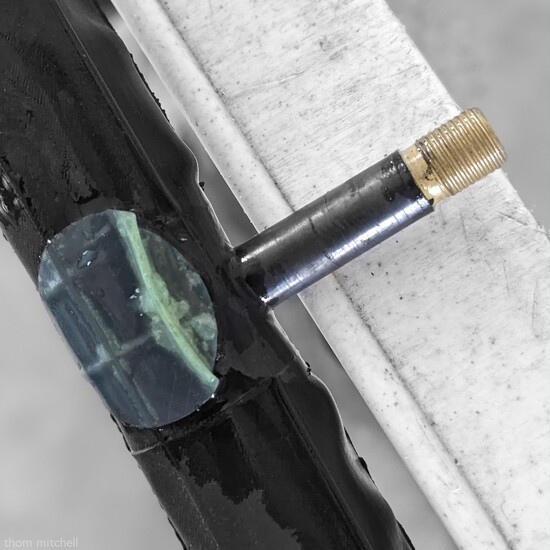 I tried ¯\_(ツ)_/¯ by Thom Mitchell · 365 Project