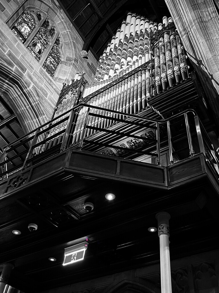 A tiny Flash of Red marks the exit. by John Falconer · 365 Project