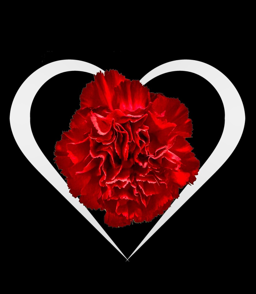 Happy Valentine’s Day by Shutterbug · 365 Project