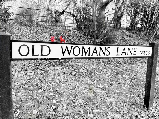 Look who joined us by Susan Wakely · 365 Project