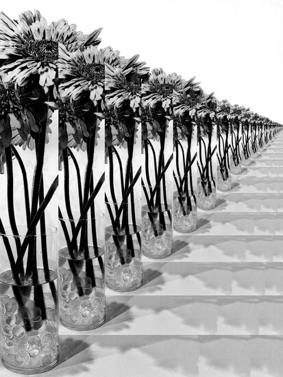 Repetition by Shutterbug · 365 Project