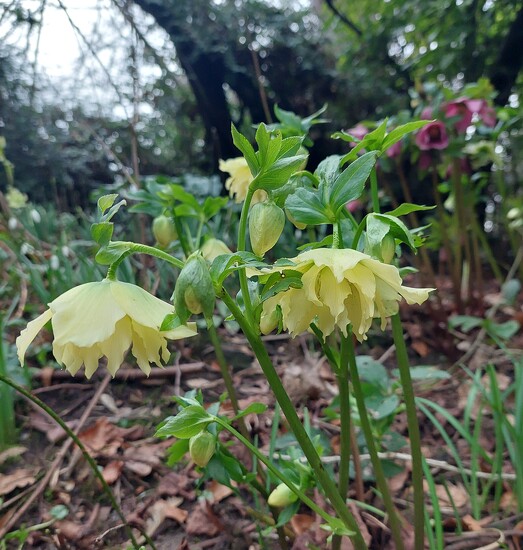 20250219_111402 by Chris Talbot · 365 Project