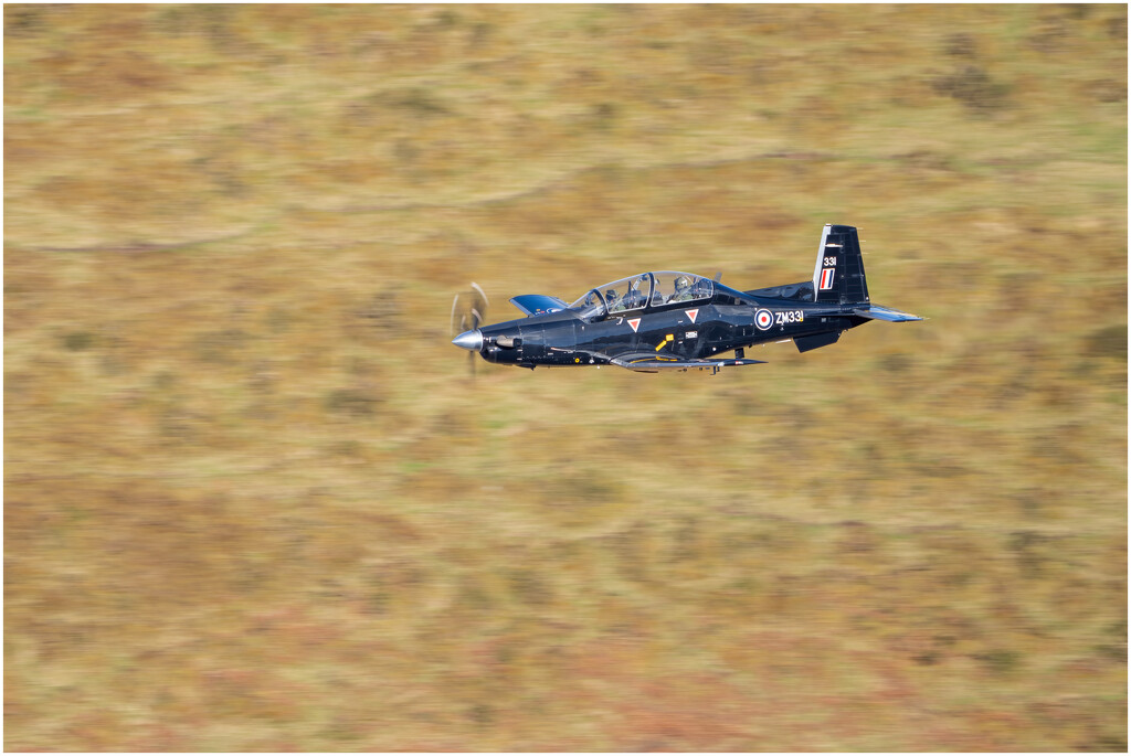 Texan Mk2 - Low level flying by Cliff McFarlane · 365 Project