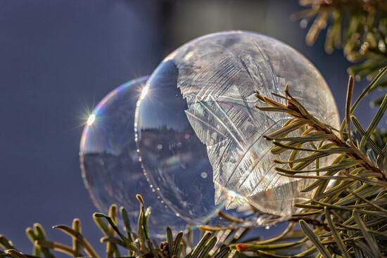 March bubble by April · 365 Project