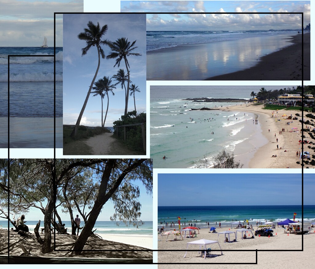 Mourning the loss of our beautiful beaches... by Rob Z · 365 Project