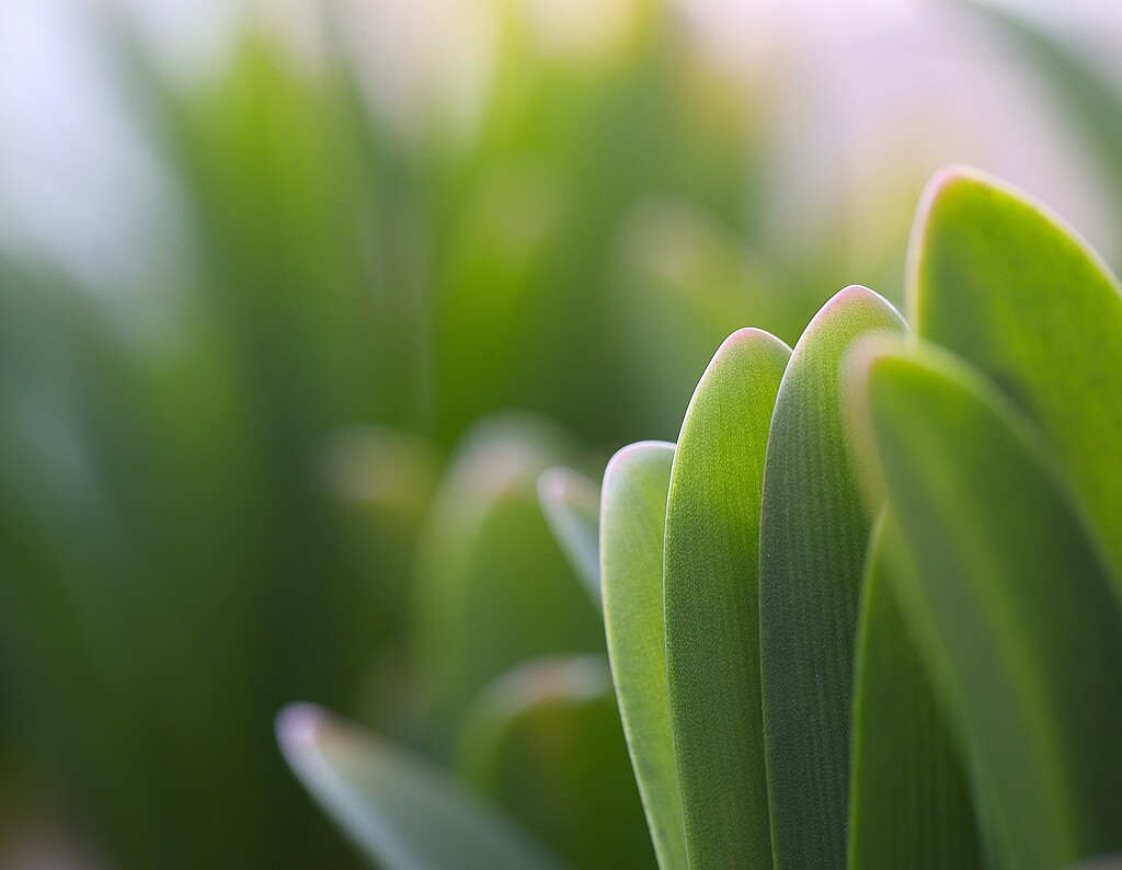 Rainbow 6 by *lynn · 365 Project