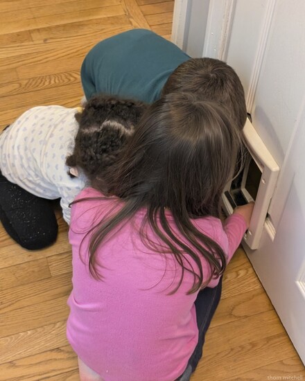 Choices by Thom Mitchell · 365 Project