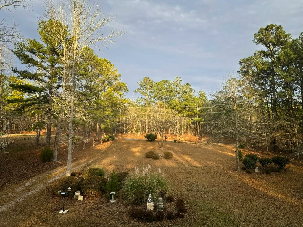 Upstair's window view looking out front... by Mags · 365 Project
