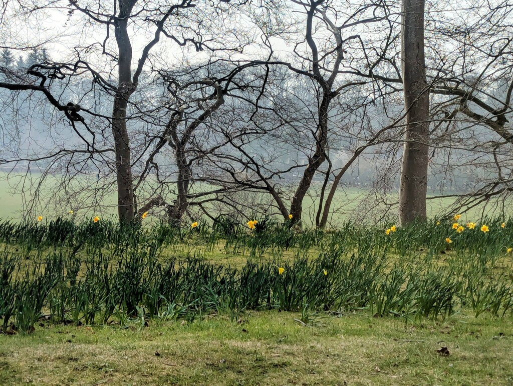 Pause by the river....a few days ago by Sarah Bremner · 365 Project