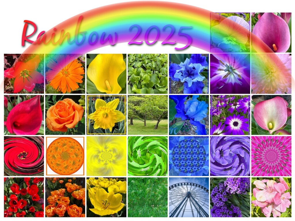 Rainbow 2025 by Shutterbug · 365 Project