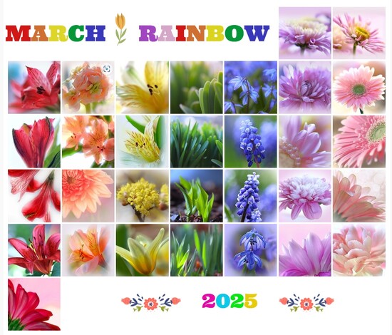 March Rainbow by *lynn · 365 Project