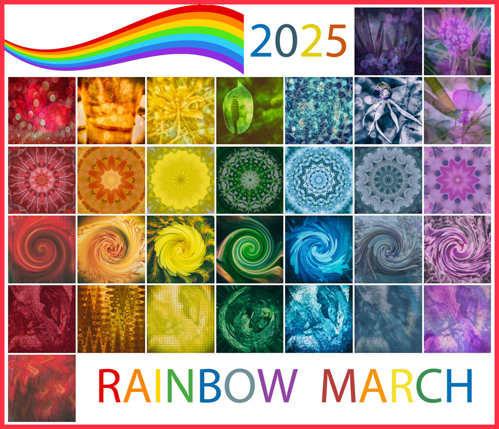 Rainbow March 2025 by Annie D · 365 Project
