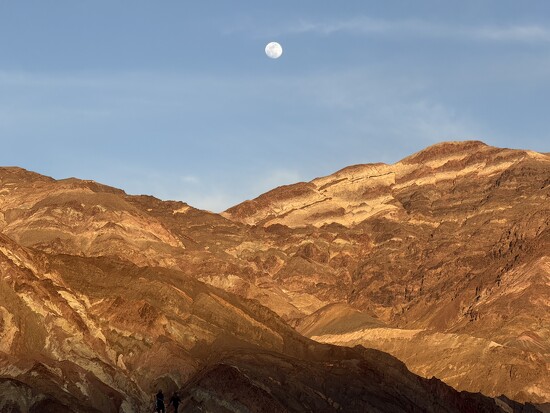 Artist’s Palette by Shutterbug · 365 Project