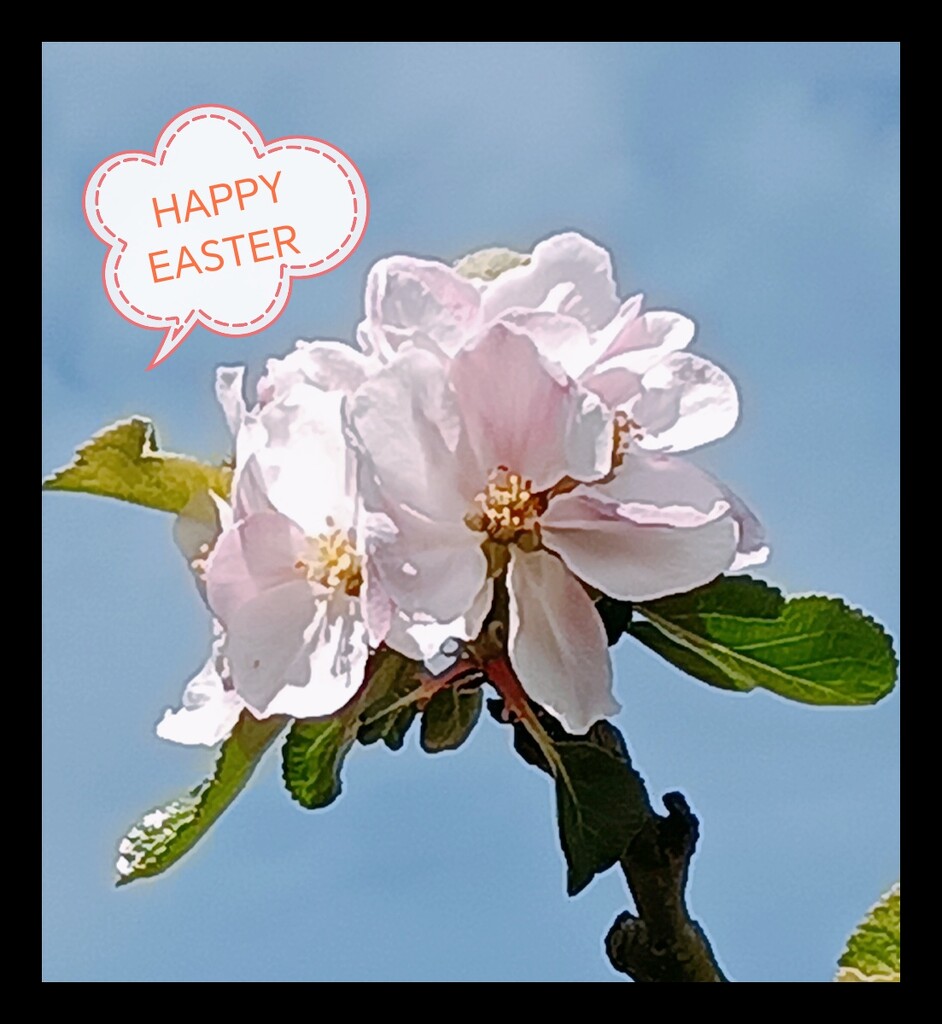 Wishing everyone a Happy Easter by carol white · 365 Project