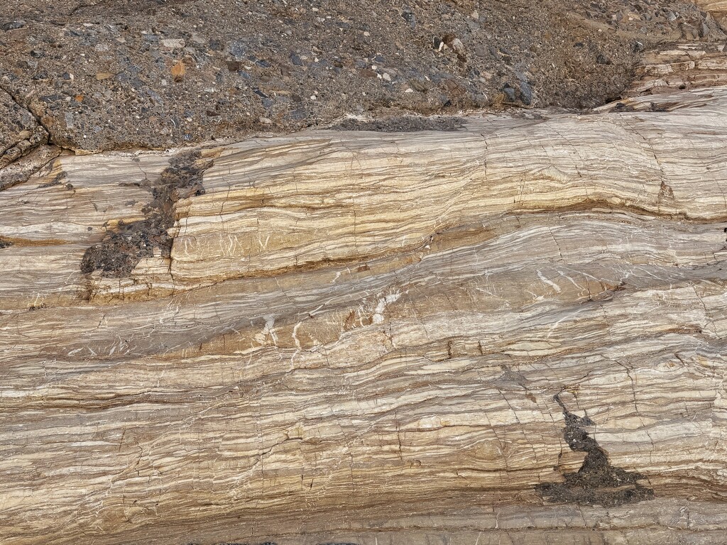 What do you see? by Shutterbug · 365 Project