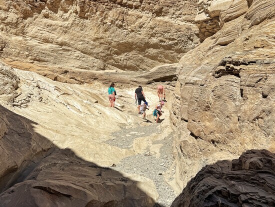 Particularly Challenging by Shutterbug · 365 Project