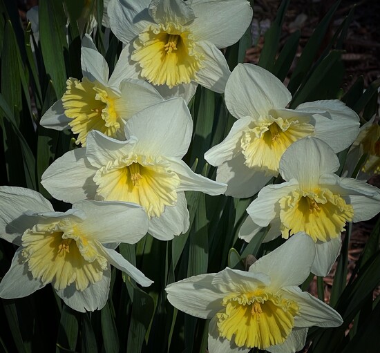 25april by amyK · 365 Project