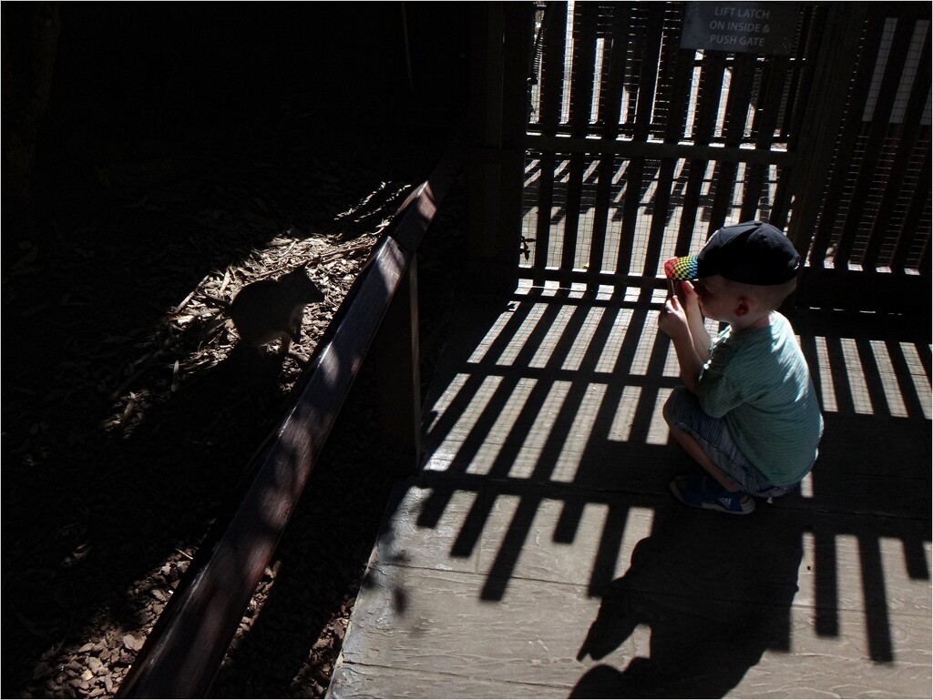 A budding 365er? by Rob Z · 365 Project