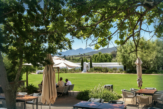 A view of Simonsberg by Diana · 365 Project