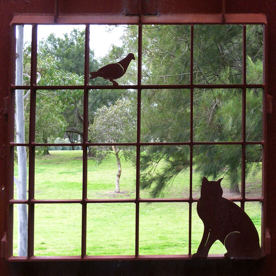 Through the Square Window by Babs · 365 Project