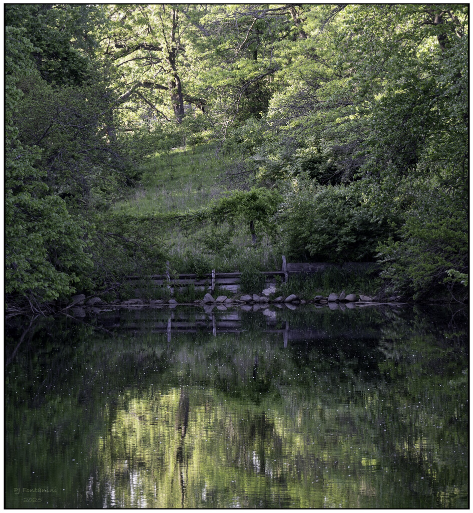 Evening Reflections by Paula Fontanini · 365 Project