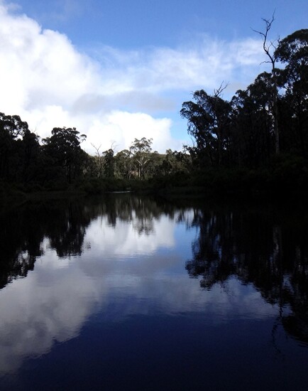 Platypus Pool reflections by Rob Z · 365 Project
