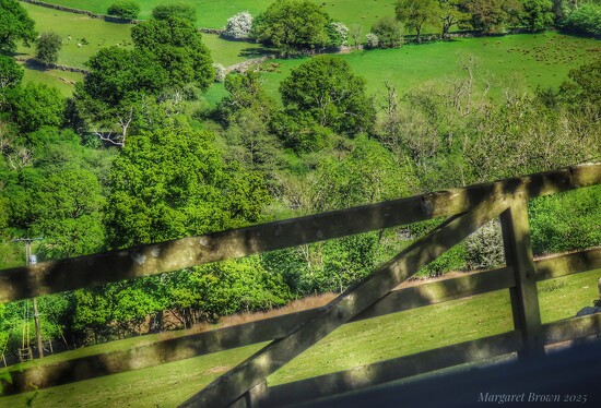 Diagonal h/h by Margaret Brown · 365 Project