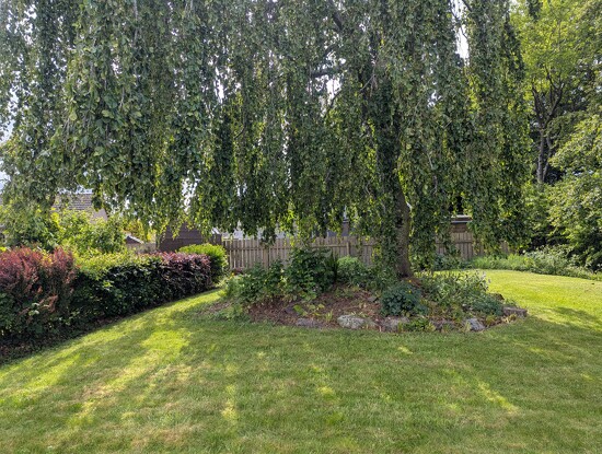 Down at the bottom of the garden by Sarah Bremner · 365 Project