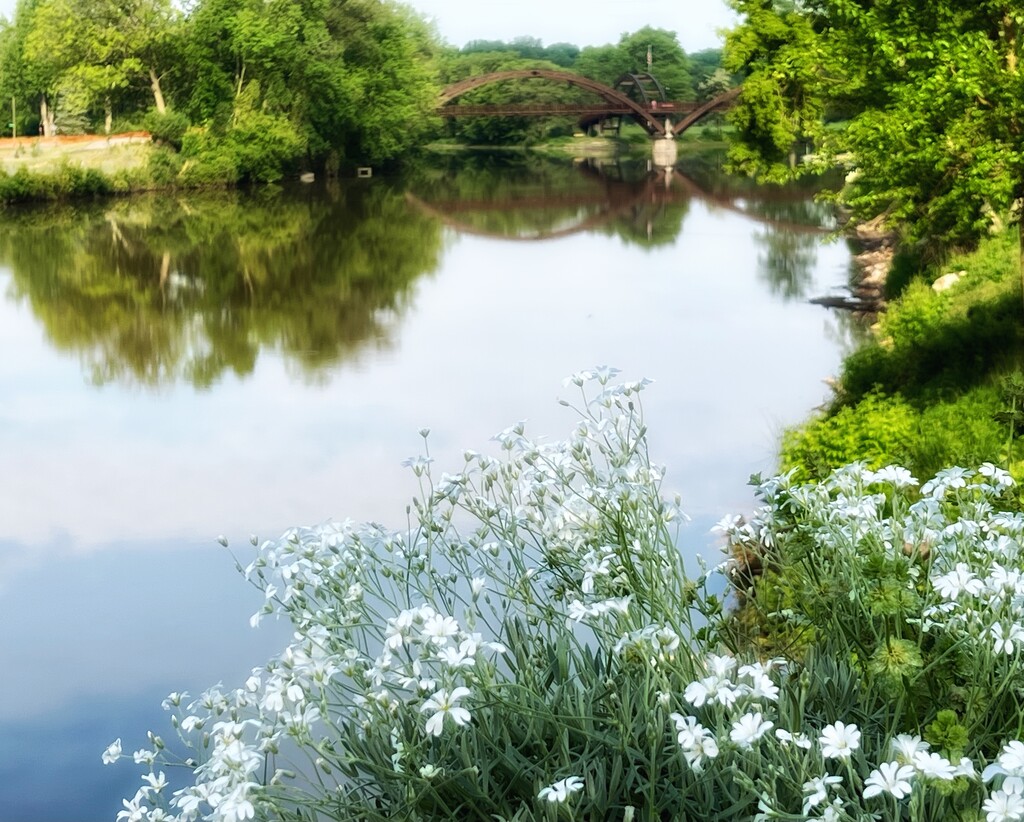 6june by amyK · 365 Project