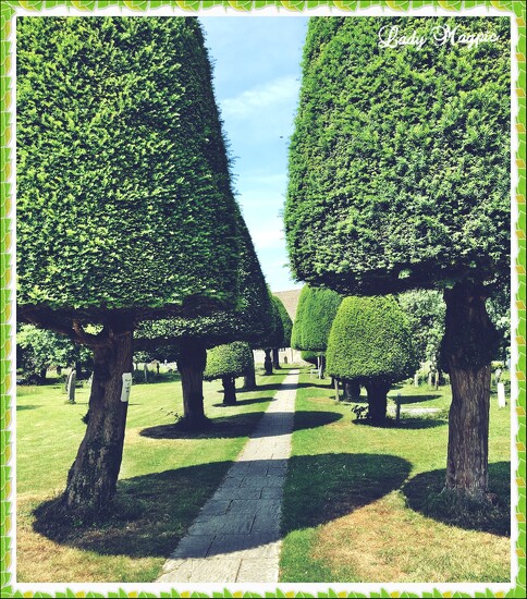 Begin, Join, End (Poem) by Lady Magpie (Heather) · 365 Project