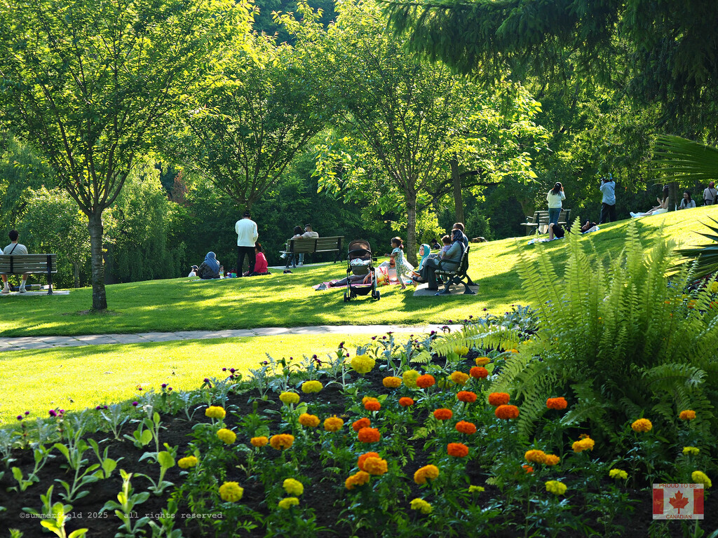 sunday in the park (not with George 🤣) by summerfield · 365 Project