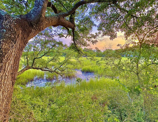 Marsh sunset by John · 365 Project