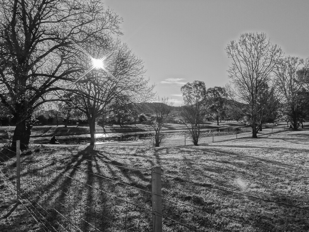 Along the Creek.. by Rob Z · 365 Project