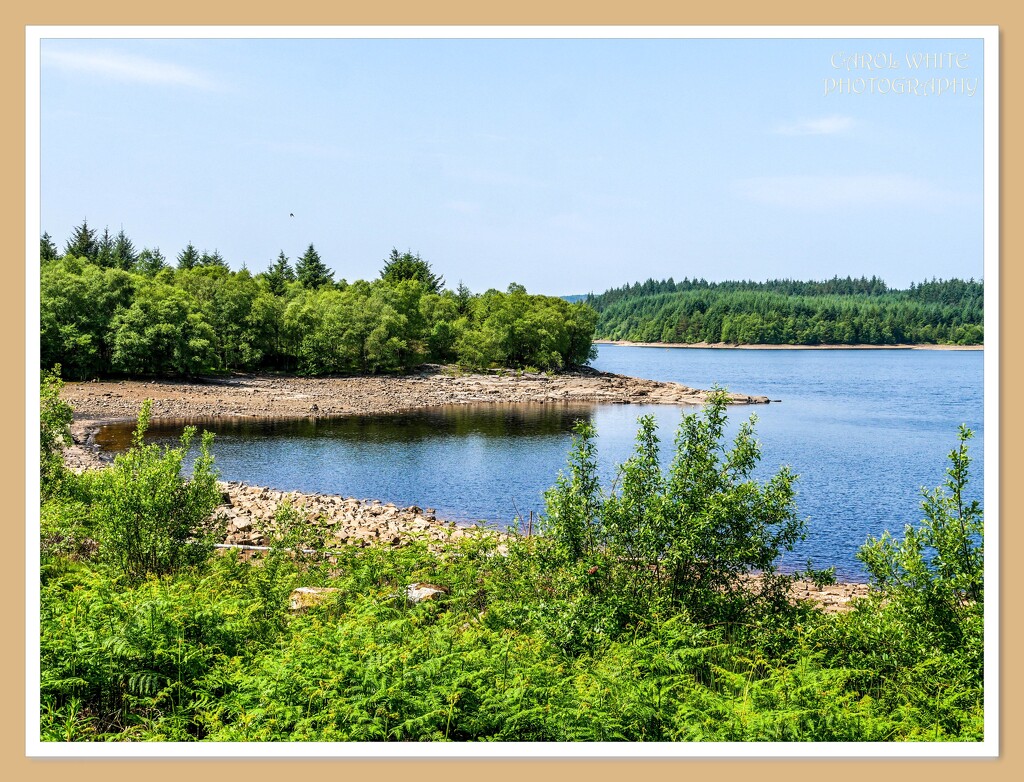 Kielder Water by carol white · 365 Project