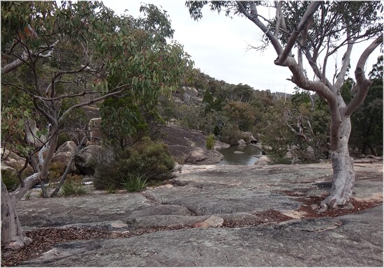 Junction Walk - Girraween NP. by Rob Z · 365 Project