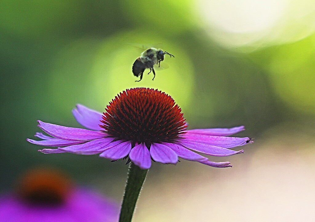 Moving On by *lynn · 365 Project