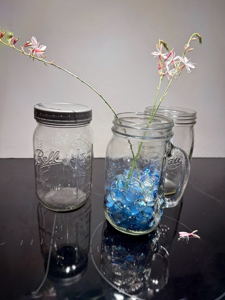 Jars by Shutterbug · 365 Project