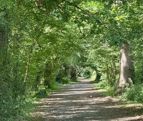 Cycle Path by Jeremy Cross · 365 Project