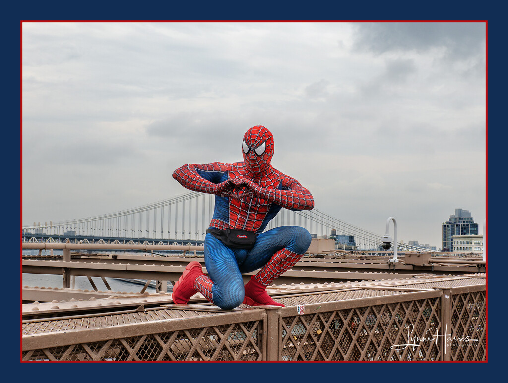 Spiderman on the Brooklyn Bridge by Lynne · 365 Project